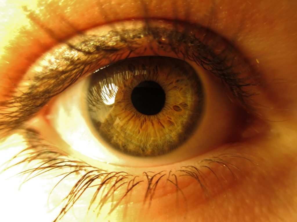 Ojo por ojo – Sobre Hombros de Gigantes